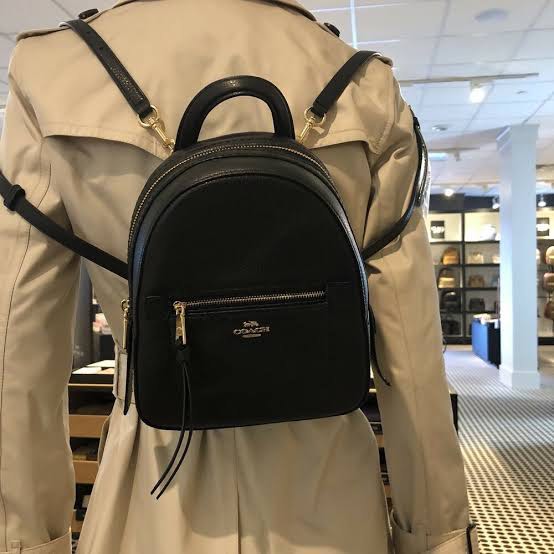 Coach Andi two way backpack bag, Women's Fashion, Bags & Wallets ...