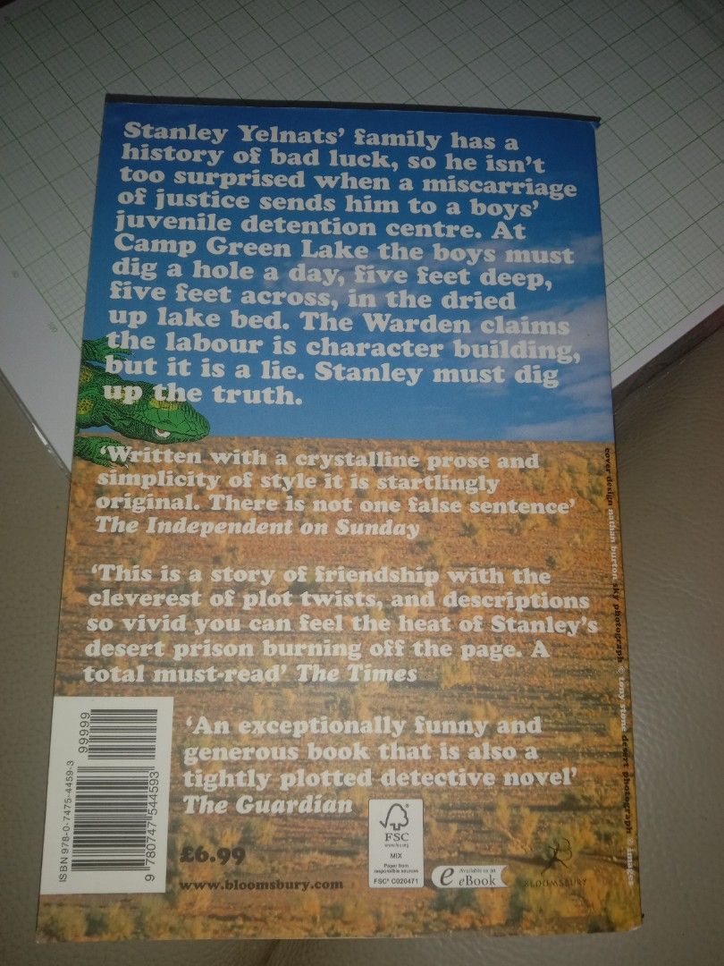 Holes by Louis Sachar, Hobbies & Toys, Books & Magazines, Storybooks on ...