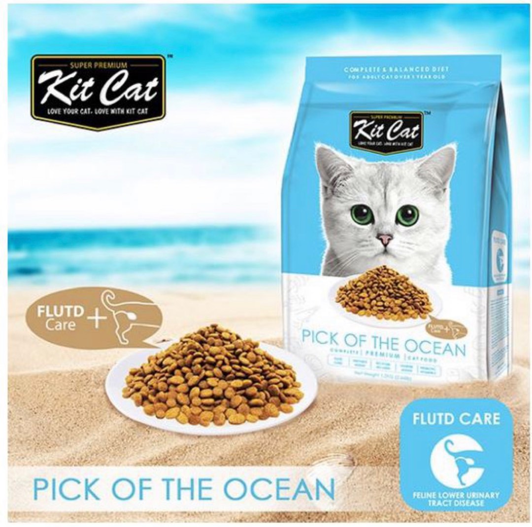 Kit Cat Dry Food 5kg - Fillet O Flakes, Kitten & Pregnant, Salmon, Mini ...