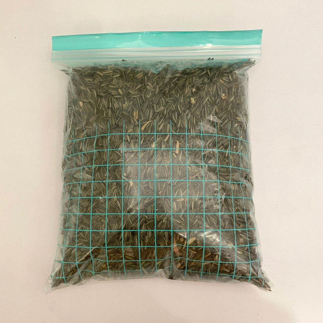 Mini Sunflower Seeds, Pet Supplies, Pet Food on Carousell