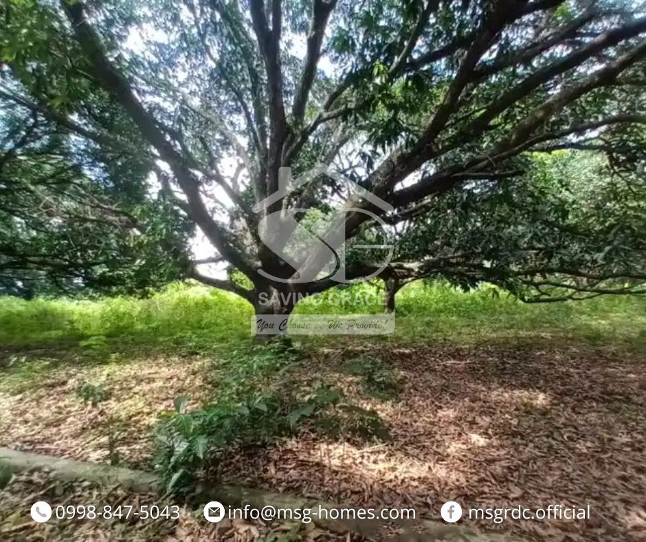 MSG-33-1604: For Sale Residential Lot in Mango Orchard Residential and ...