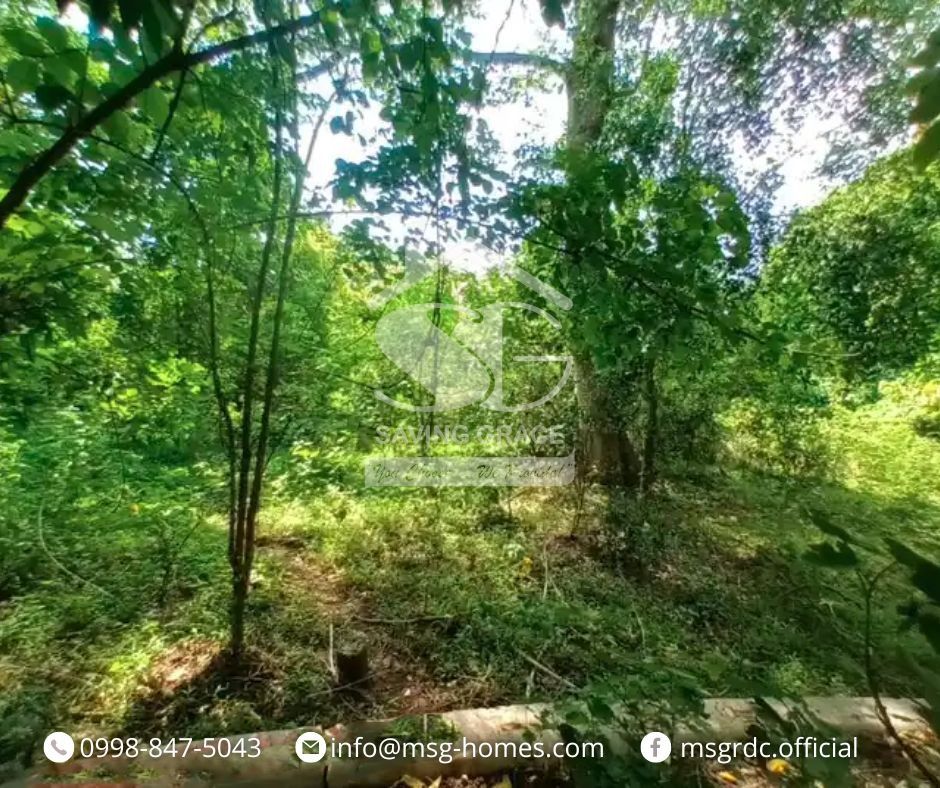 MSG-33-1605: For Sale Residential Lot Mango Orchard Residential and ...