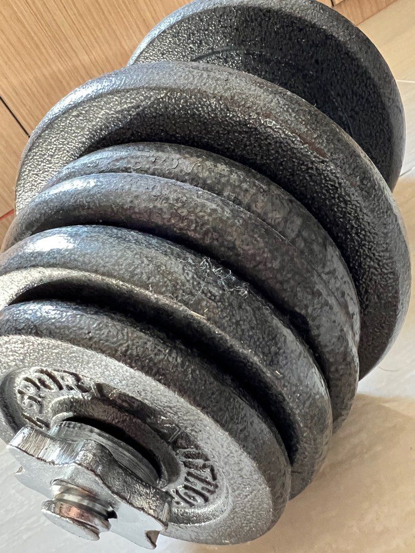 Sports Authority Dumbbell Plates, Sports Equipment, Exercise & Fitness ...