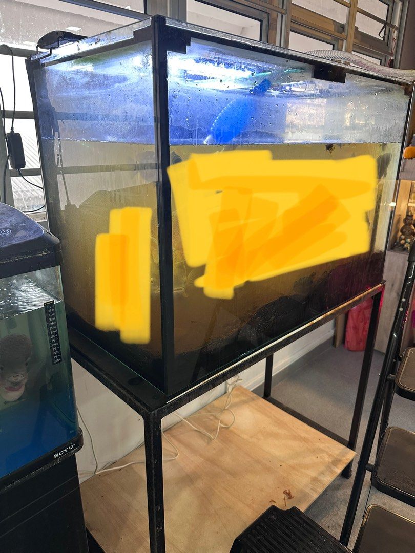 3ft by 1.5ft by 2ft height tank for sales( update as of 23 Sep 2025 ...