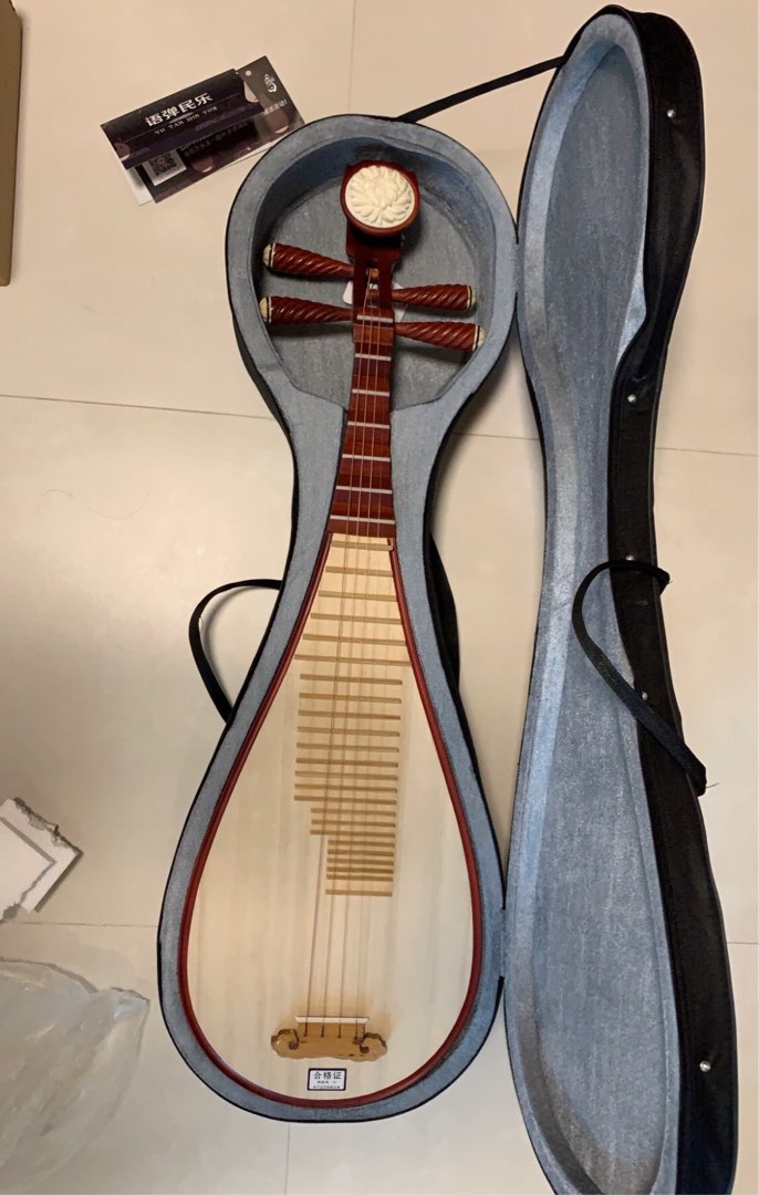 Beginner Pipa, Hobbies & Toys, Music & Media, Musical Instruments on ...