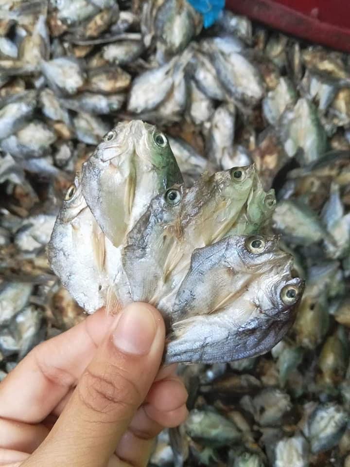 Daing na Ayungin 3 packs, Food & Drinks, Local Eats on Carousell