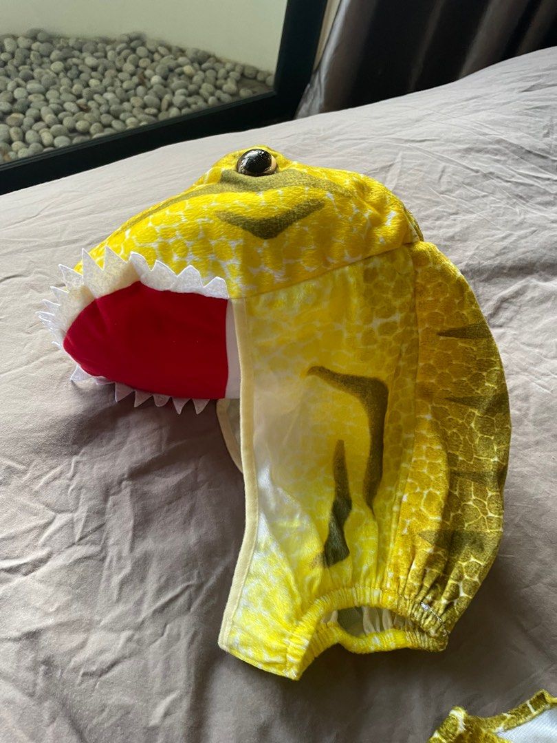 Dinosaur dress up costume 4-6 years old, Babies & Kids, Babies & Kids ...