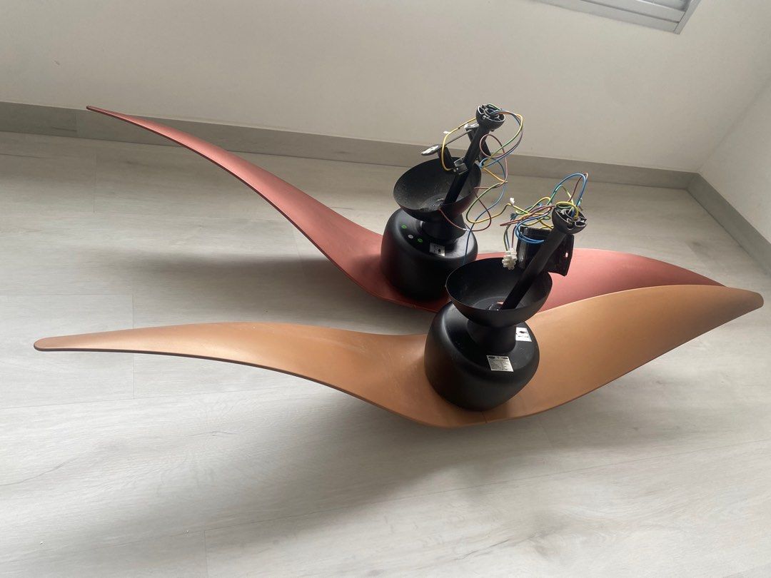 EuropAce Ceiling Light Fan, TV & Home Appliances, Air Purifiers ...