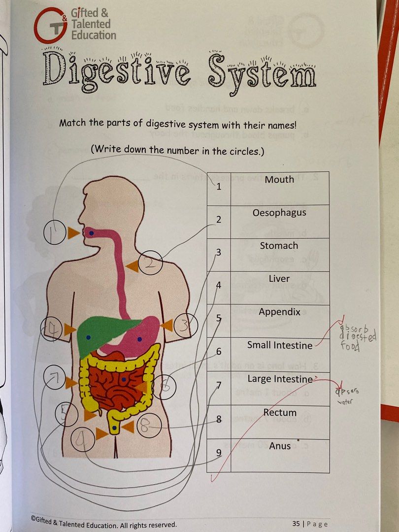 GATE Einstein L3 full set, Hobbies & Toys, Books & Magazines, Children ...