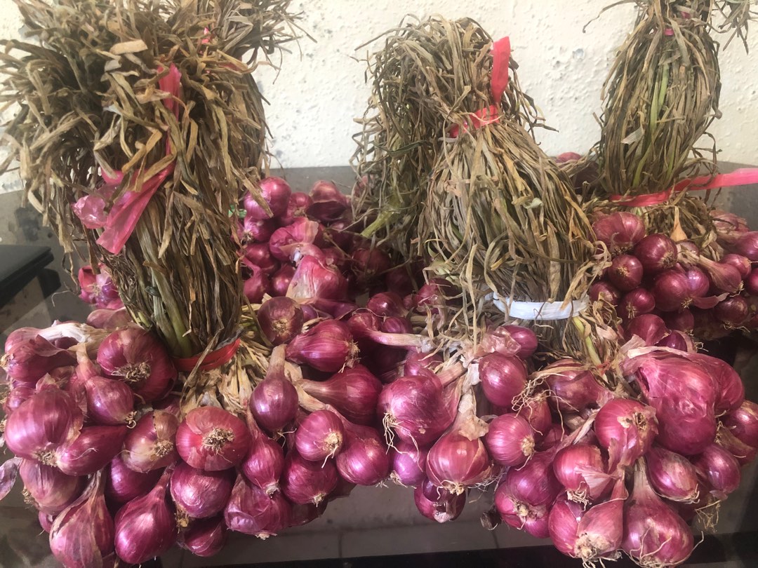 Ilocos Sibuyas ( lasuna), Food & Drinks, Local Eats on Carousell