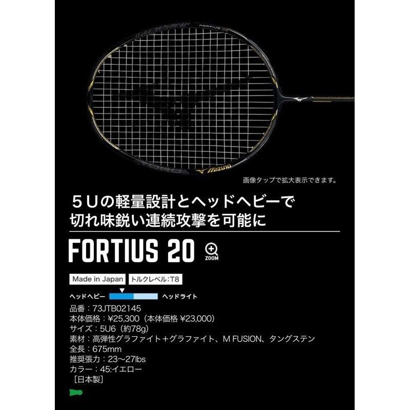 Mizuno Fortius 20 (Brand New Made in JP), Sports Equipment, Sports ...