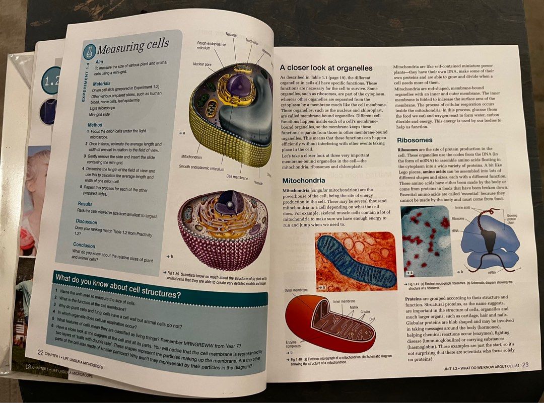 Oxford Big Ideas Science 8, Hobbies & Toys, Books & Magazines ...