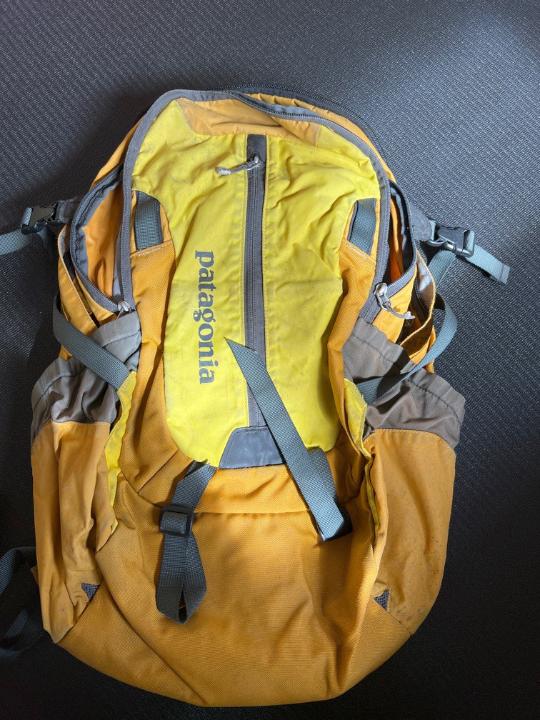 Patagonia backpack, 男裝, 袋, 背包 - Carousell