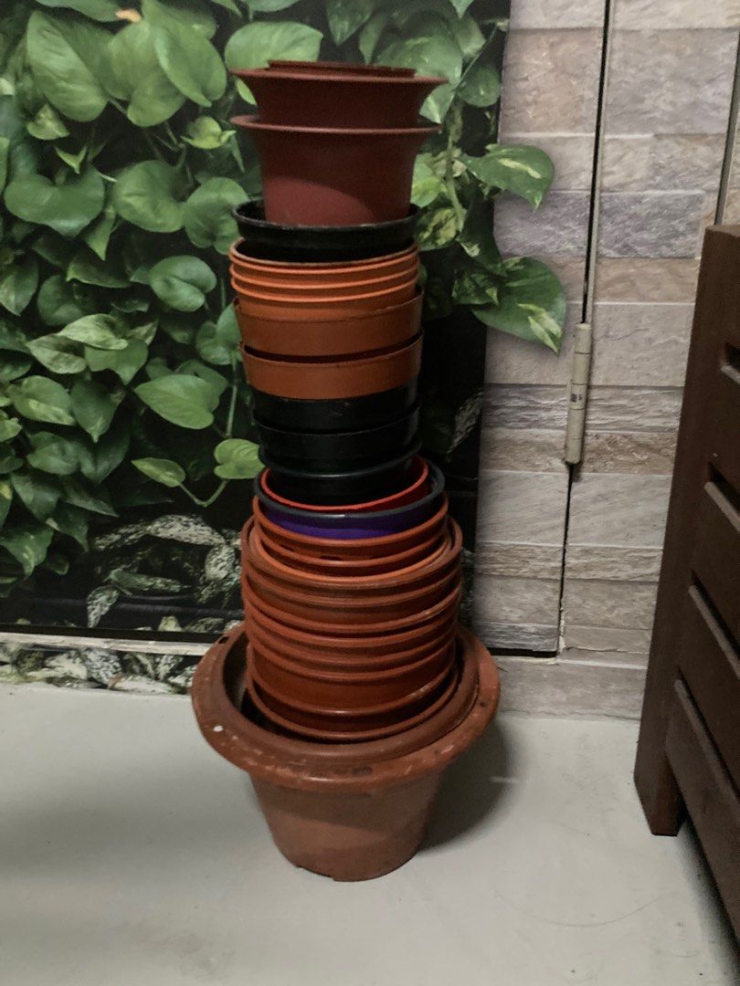 Plant pots, Furniture & Home Living, Gardening, Pots & Planters on ...