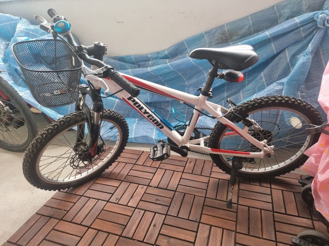 Polygon Relic 20" Mountain Bike Kid, Sports Equipment, Bicycles & Parts ...