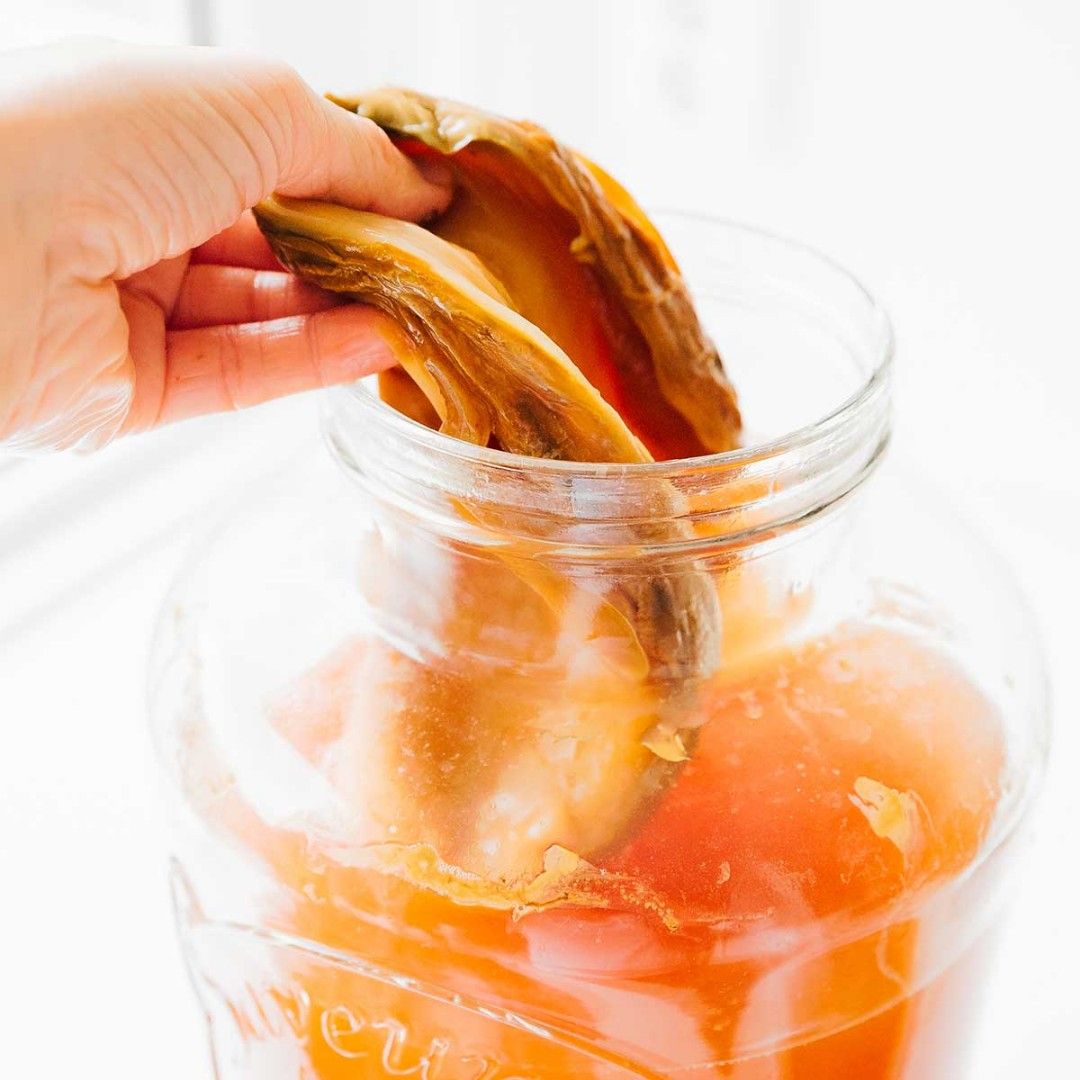 Scoby kombucha starter free tea sugar primer live culture probiotic ...