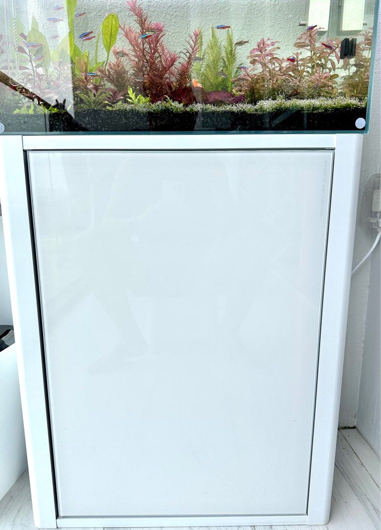Sunsun HRG 600 white fish tank stand/cabinet, Pet Supplies, Homes ...