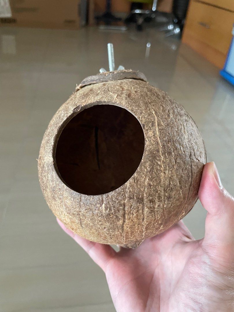 Syrian hamster coconut shell hide out, Pet Supplies, Homes & Other Pet ...