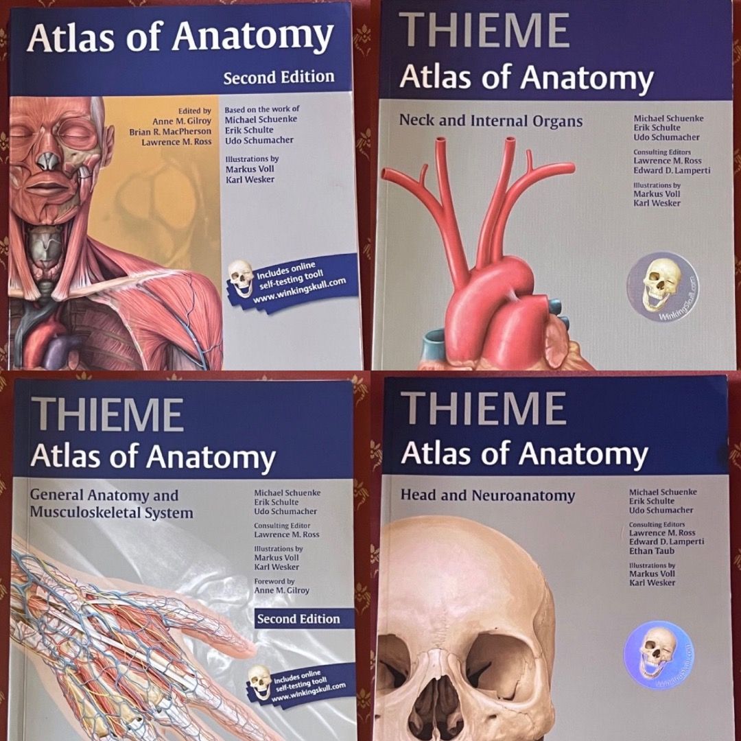 Thieme Atlas of Anatomy series, Hobbies & Toys, Books & Magazines ...