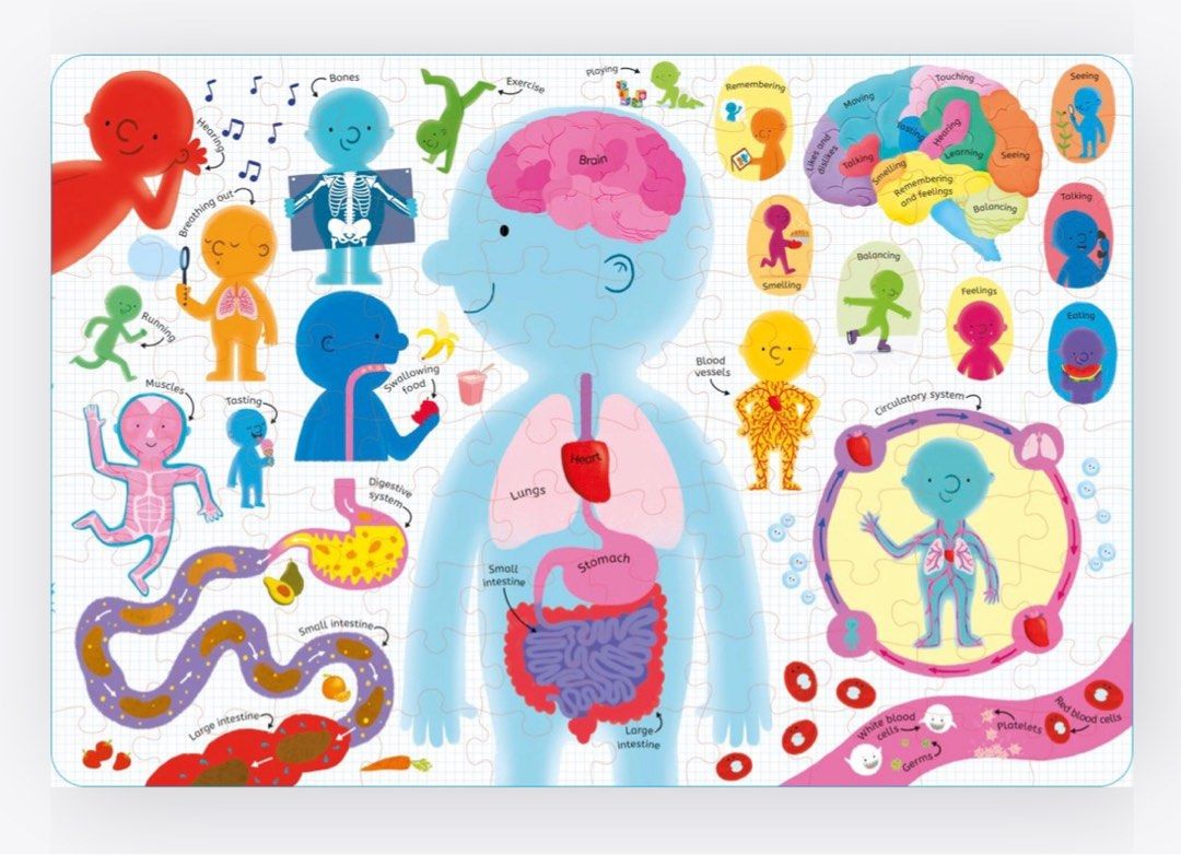 Usborne Book and Jigsaw: Human Body/ Solar System/ Periodic Table ...