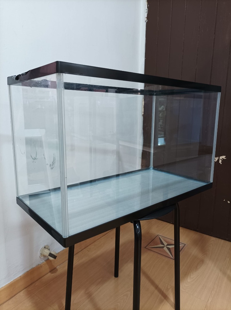 2ft Acrylic Fish Tank 2x1x1ft, Pet Supplies, Homes & Other Pet ...