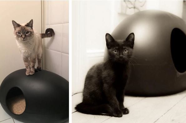 Designer cat litter box or hiding space, Poo Poo Pee Do, Pet Supplies ...