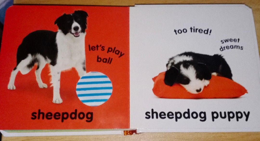 DK Baby Touch and Feel Farm Animals Boardbook, Hobbies & Toys, Books ...