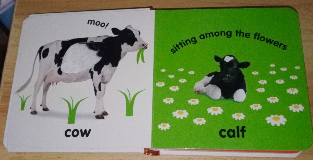 DK Baby Touch and Feel Farm Animals Boardbook, Hobbies & Toys, Books ...