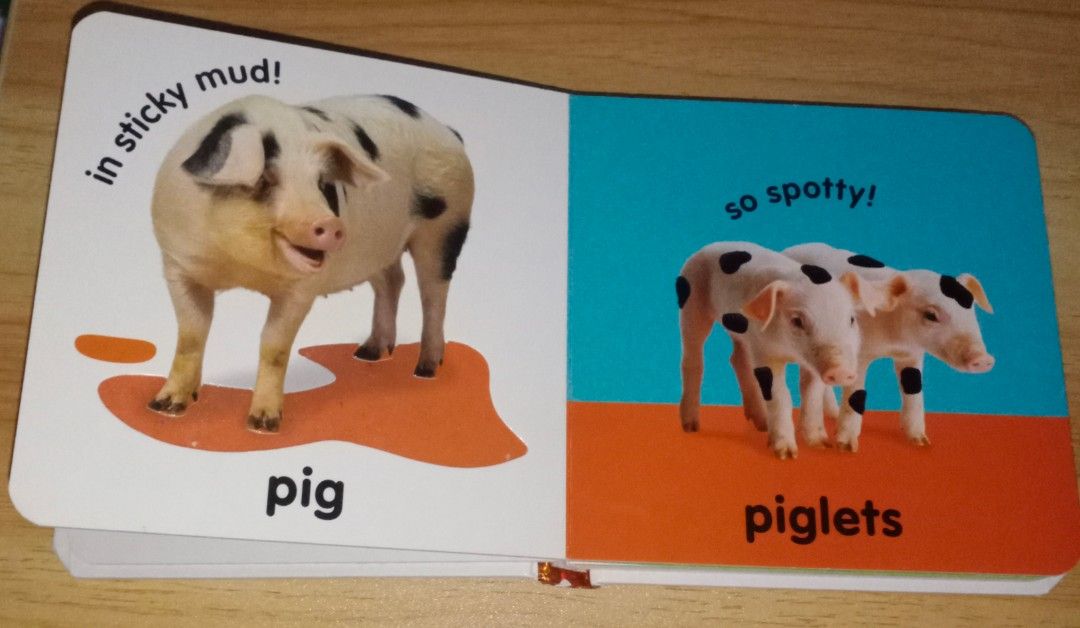 DK Baby Touch and Feel Farm Animals Boardbook, Hobbies & Toys, Books ...