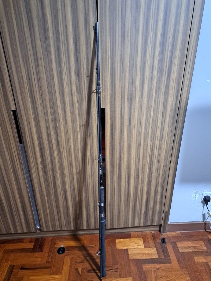 Eupro Cyclone - Surfcast Fishing Rod, Sports Equipment, Fishing on ...