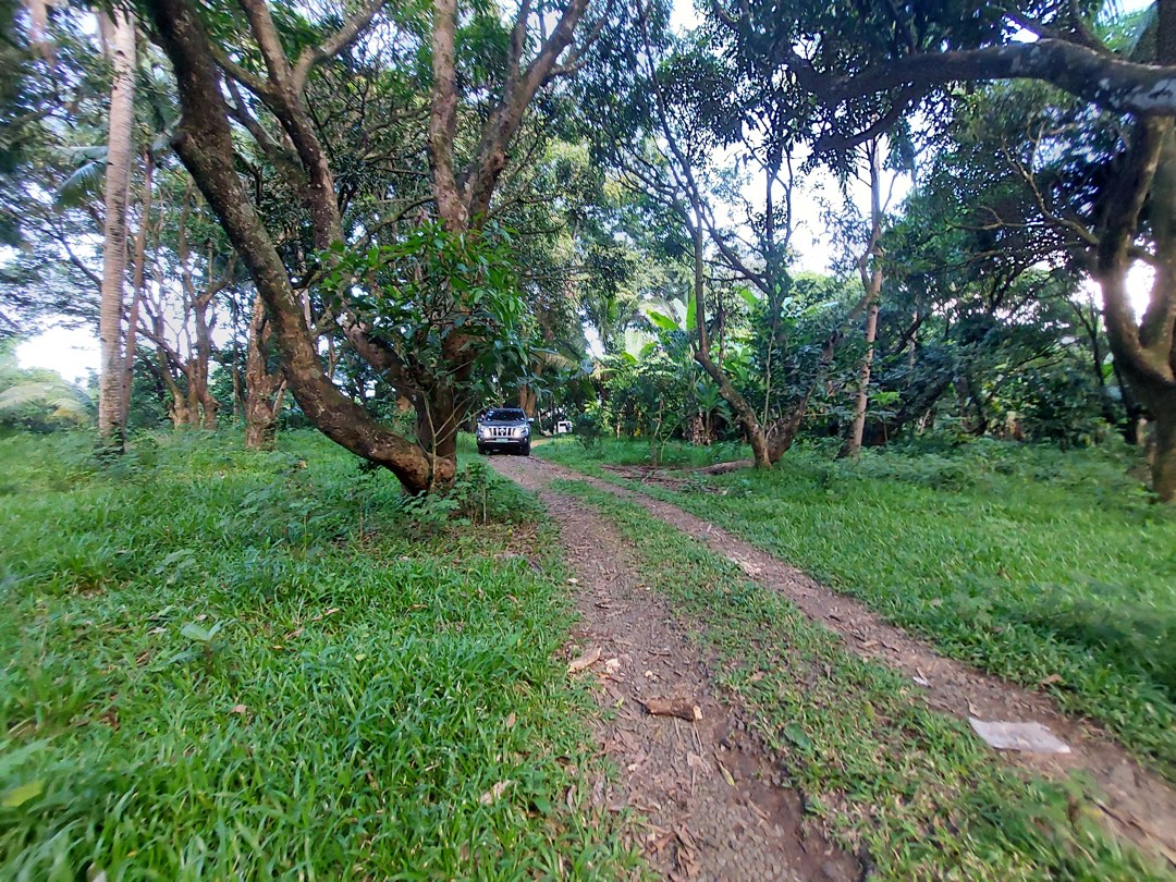 Farm Land Tanay Rizal, Property, For Sale, Lot on Carousell