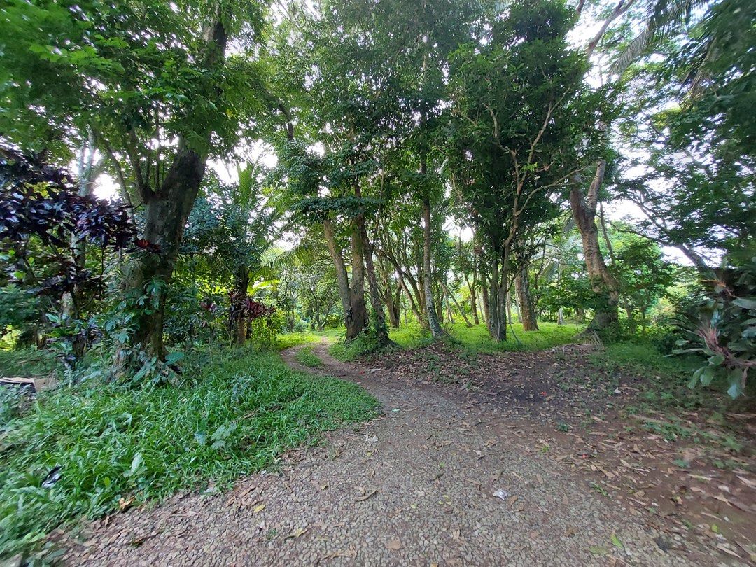 Farm Land Tanay Rizal, Property, For Sale, Lot on Carousell