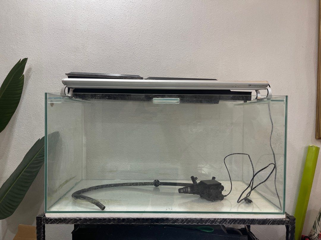 Fish Tank Set 3ft, Pet Supplies, Homes & Other Pet Accessories on Carousell
