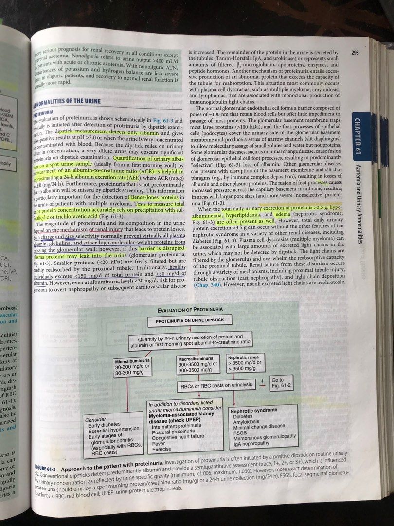 Harrison’s Principles of Internal Medicine 19th Edition (Original ...