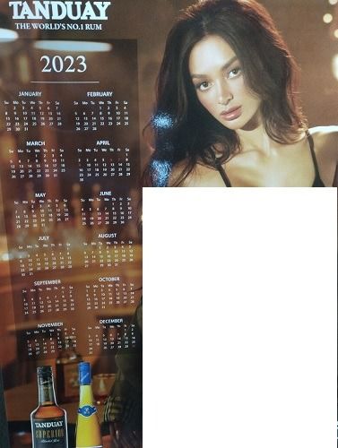 (SET of 3) KYLIE VERSOZA 2023 Tanduay Calendars, Hobbies & Toys, Memorabilia & Collectibles, Fan ...