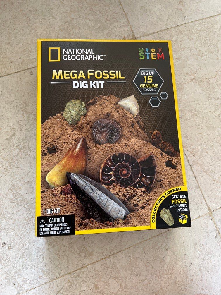 Mega fossil dig kit, Hobbies & Toys, Toys & Games on Carousell