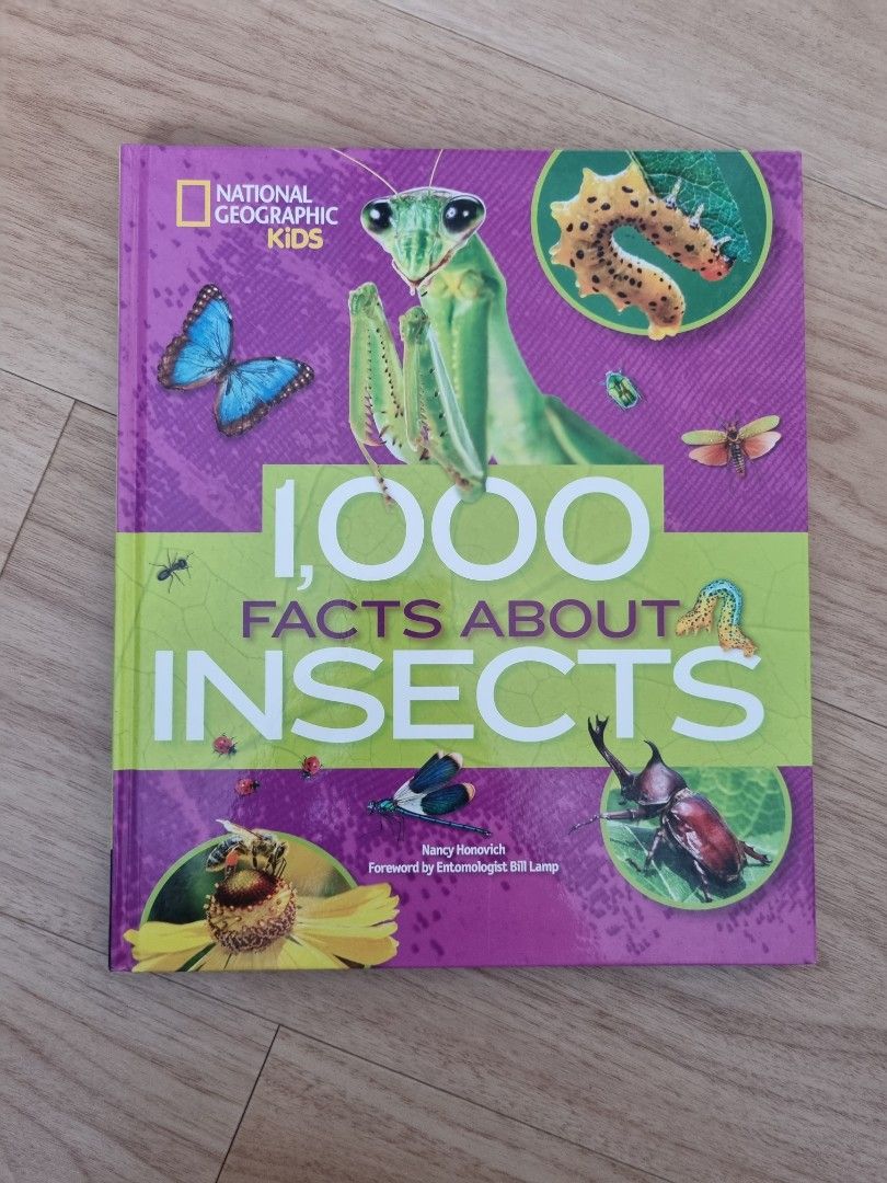 National Geographic 1000 Facts About Insects, Hobbies & Toys, Books ...