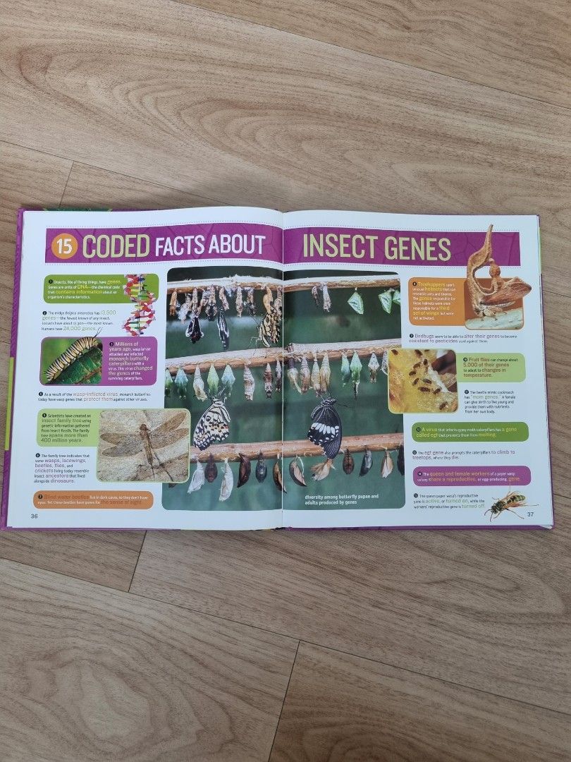 National Geographic 1000 Facts About Insects, Hobbies & Toys, Books ...