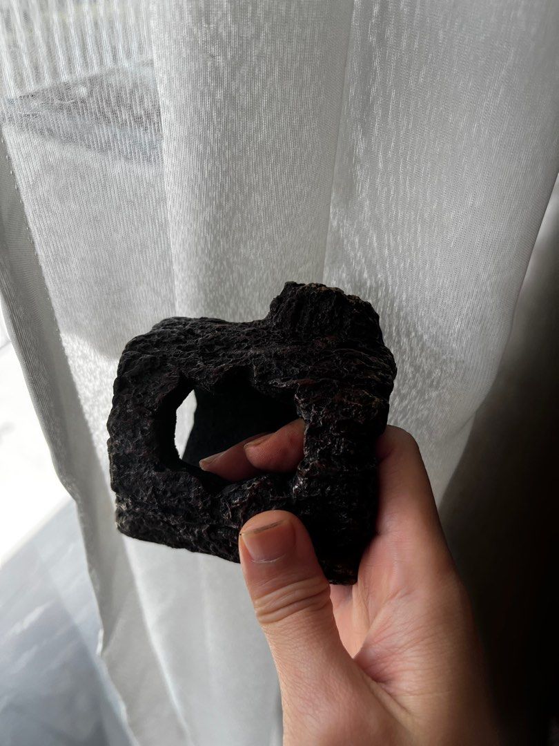 NEW Betta floating log, Pet Supplies, Homes & Other Pet Accessories on ...