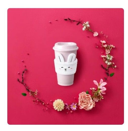 Starbucks rabbit reusable cup, Everything Else on Carousell