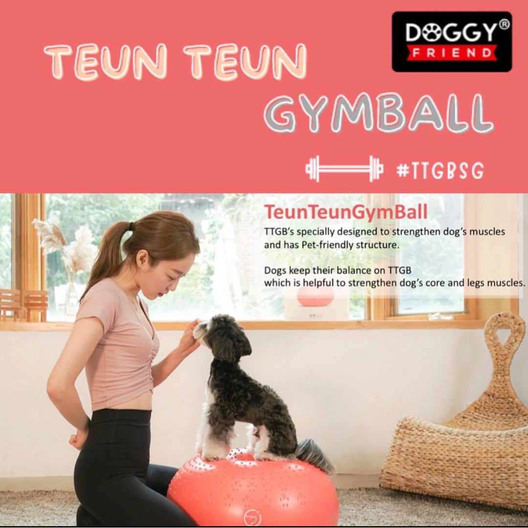 Teun teun gym ball, Pet Supplies, Homes & Other Pet Accessories on Carousell