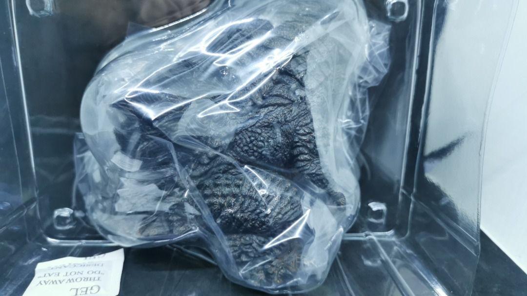 X-Plus Deforeal GODZILLA 2021 Japanese Sofubi Vinyl Kaiju from Movie ...