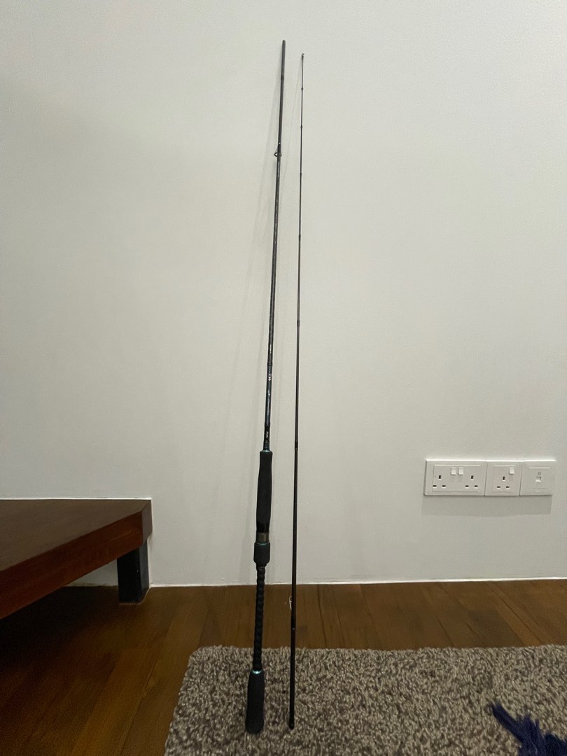 Daiwa Emeraldas 79ML Eging Rod, Sports Equipment, Fishing on Carousell