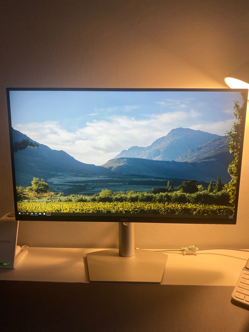 Dell S2721QS 27 Inch 4K UHD (3840 x 2160) IPS Ultra-Thin Bezel Monitor ...
