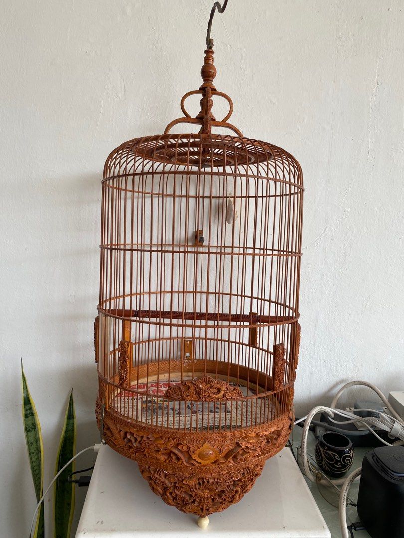 Finch canary cage, Pet Supplies, Homes & Other Pet Accessories on Carousell