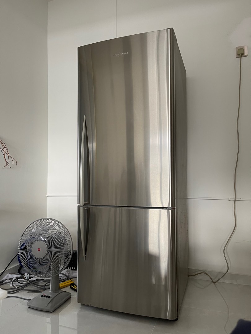 MINT Fisher & Paykel E402B Stainless Steel Fridge, TV & Home Appliances, Kitchen Appliances ...