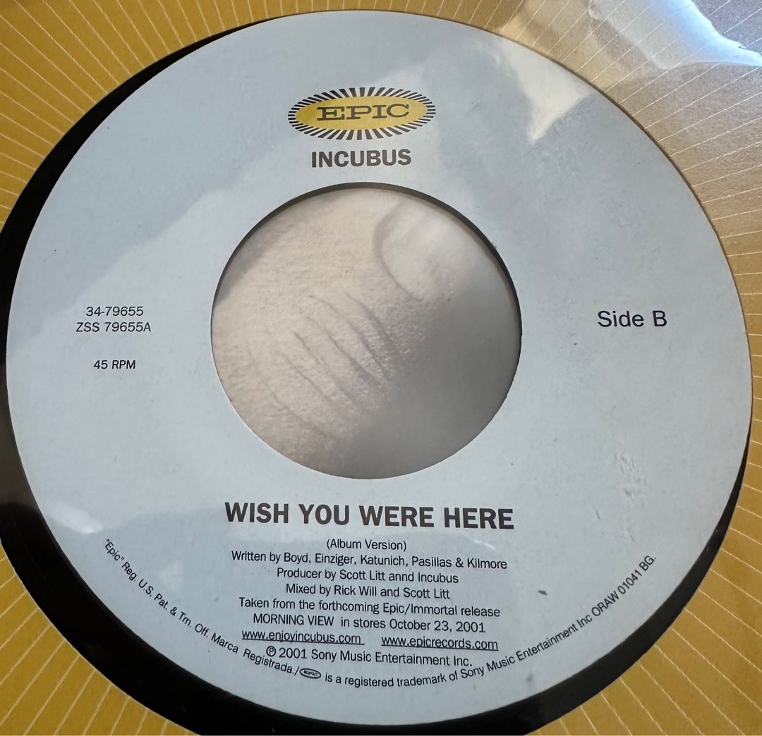 INCUBUS Wish You Were Here 7”, Hobbies & Toys, Music & Media, Vinyls on Carousell