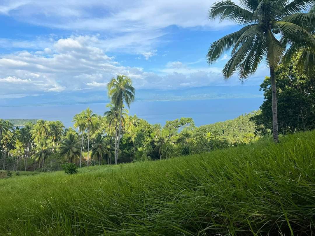 Overlooking lot in Samal, Property, For Sale, Lot on Carousell