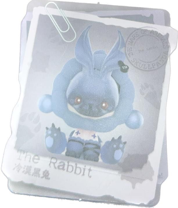 Popmart x Skullpanda | The Mare Of Animals Series (The Rabbit), Hobbies ...