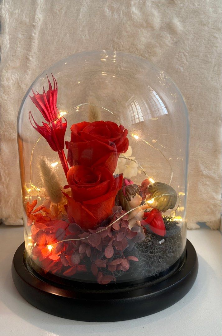 Premium preserved rose dome with couple, Hobbies & Toys, Stationery ...